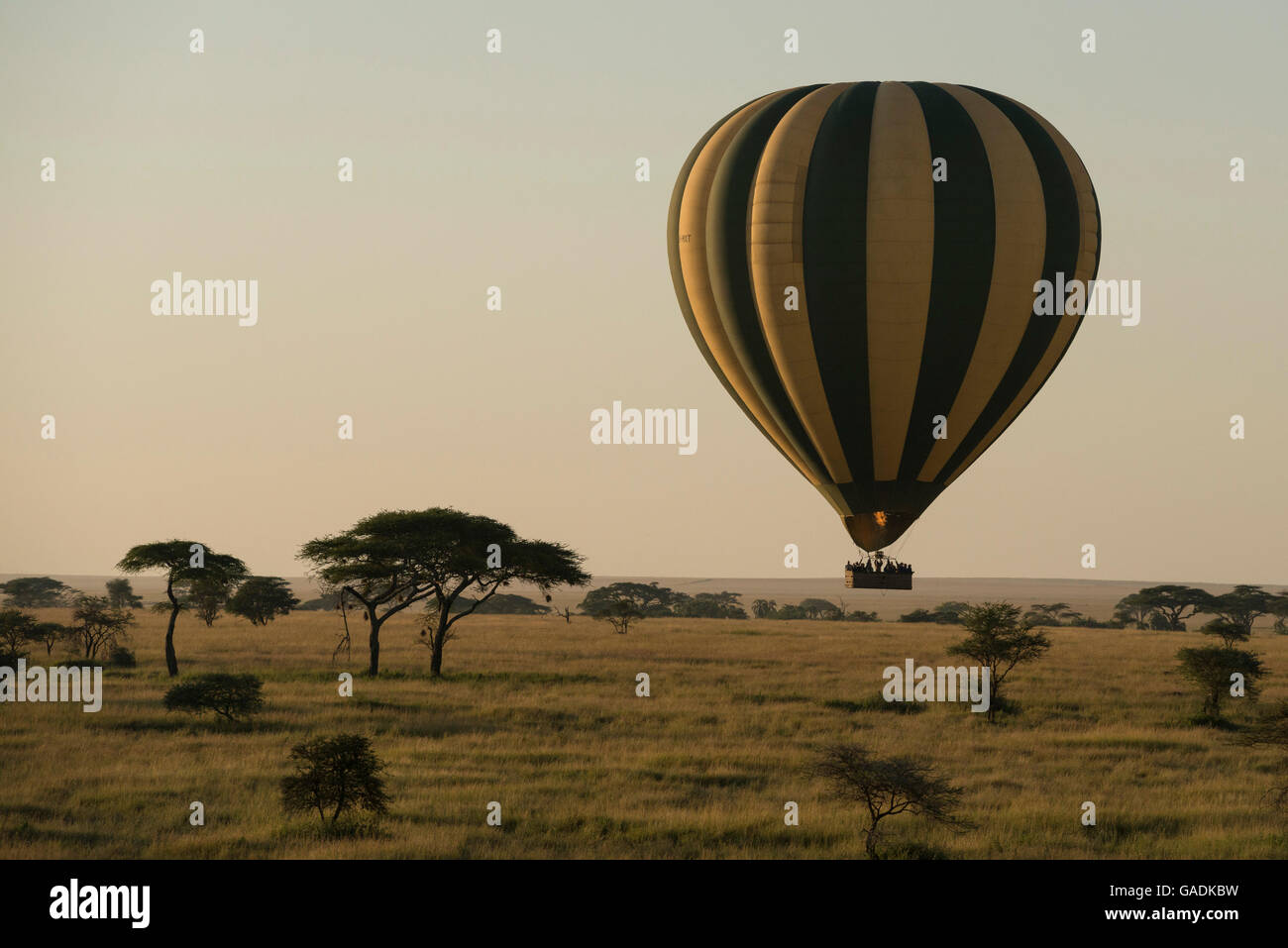 Balloon safari, Serengeti National Park, Tanzania Stock Photo - Alamy