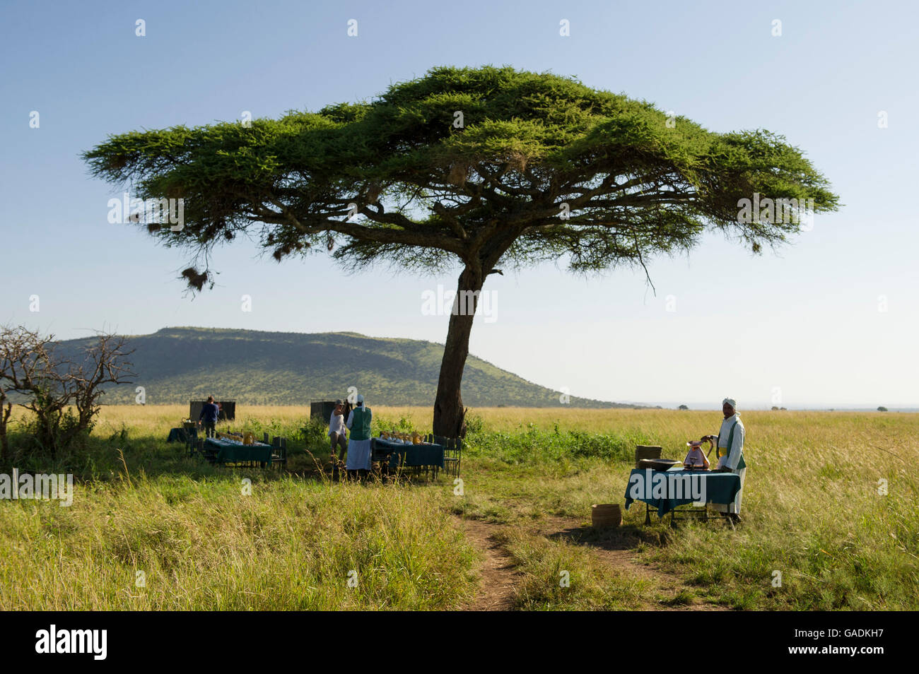 Bush safari hi-res stock photography and images - Alamy