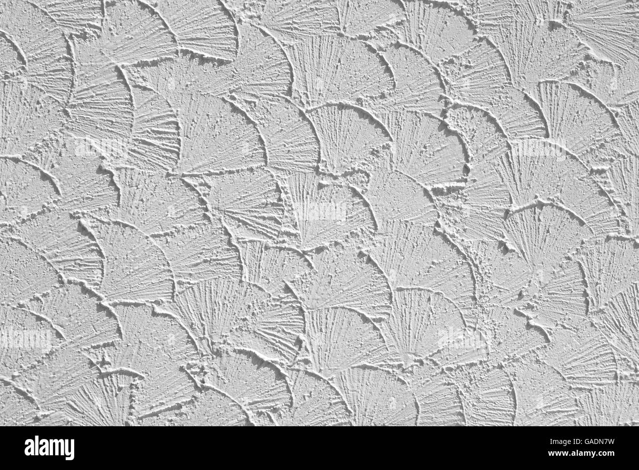 Fan Shaped Images at Stella Prell blog