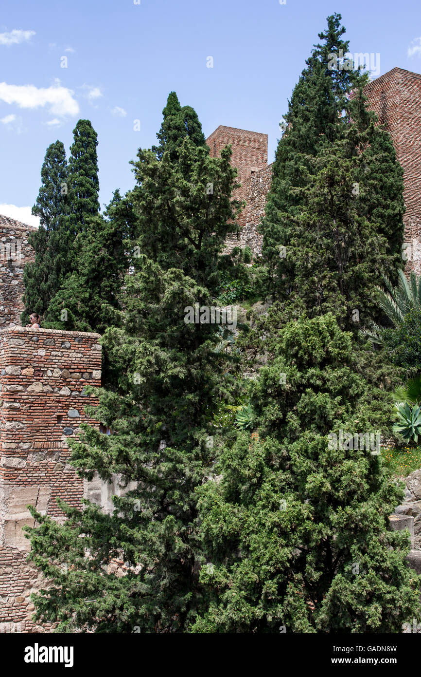 Alcazaba Malaga Castle Stock Photo - Alamy