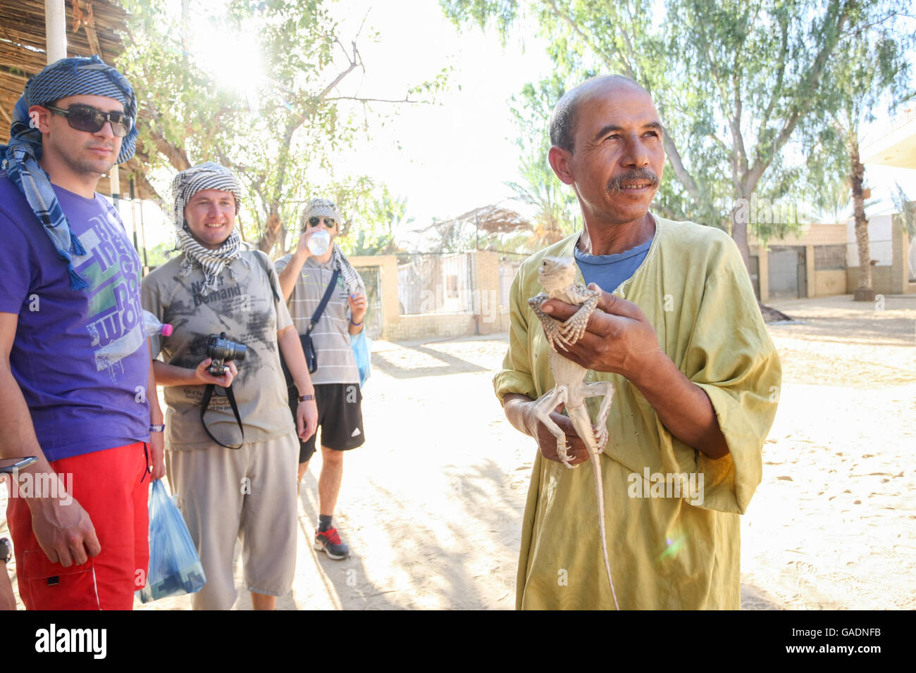 Monitor lizard standing hi-res stock photography and images - Alamy
