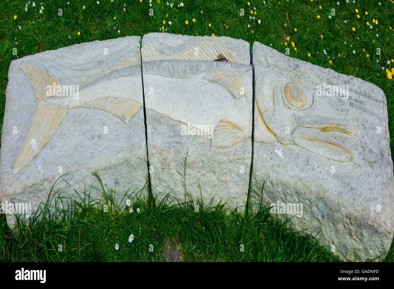 England, Hampshire, Isle of Wight, Chale Bay Mackerel stone Stock Photo ...