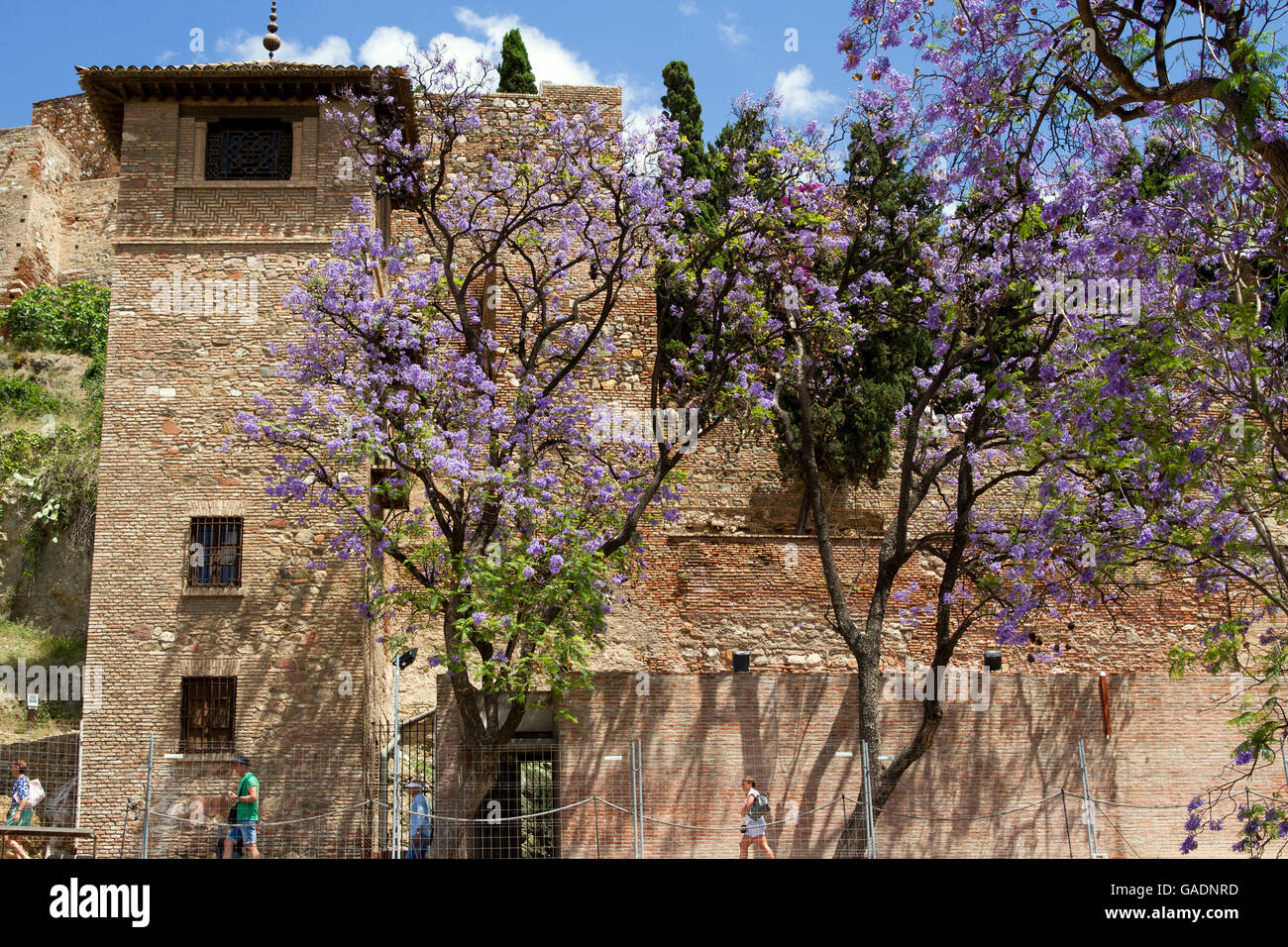 Alcazaba Malaga Castle Stock Photo - Alamy