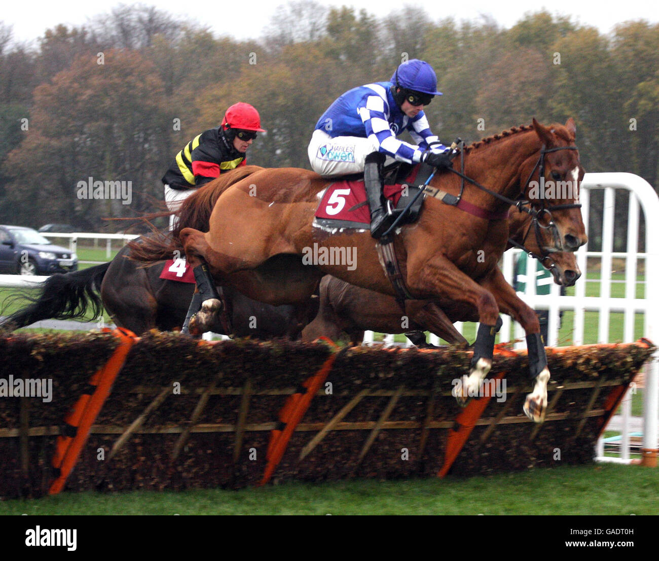 Horse Racing - Haydock Park Racecourse Stock Photo - Alamy