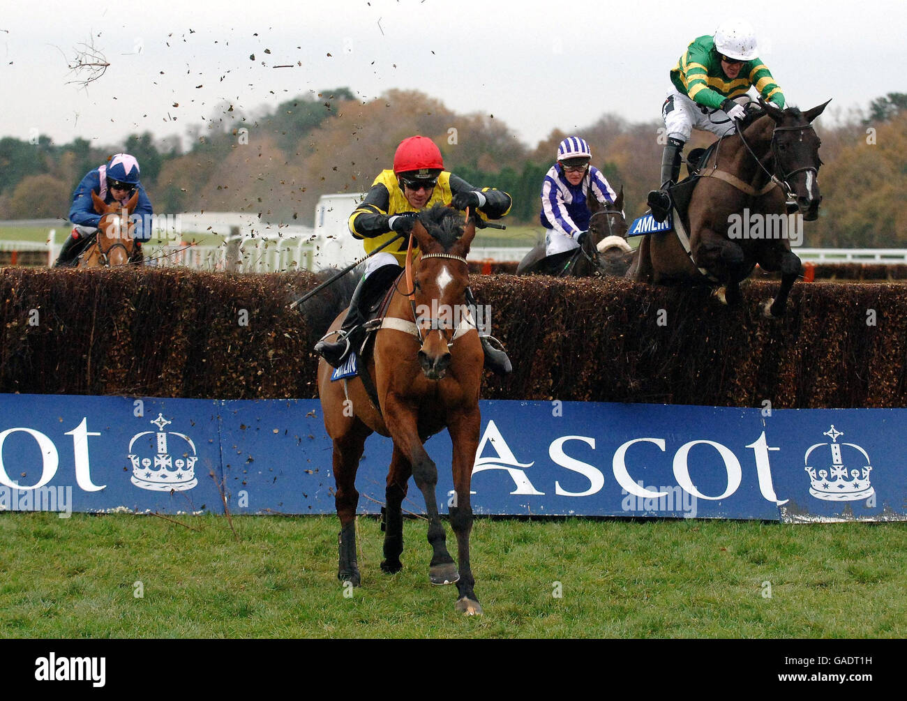 Winning the amlin 1965 steeple chase from fier normand hi-res stock ...