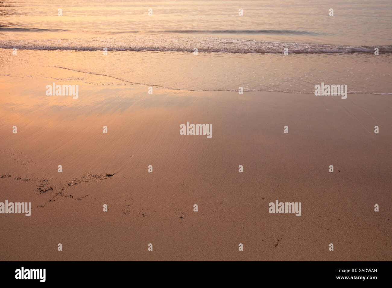 Glowing sunset in ocean. Sky reflecting in water and sand Stock Photo ...