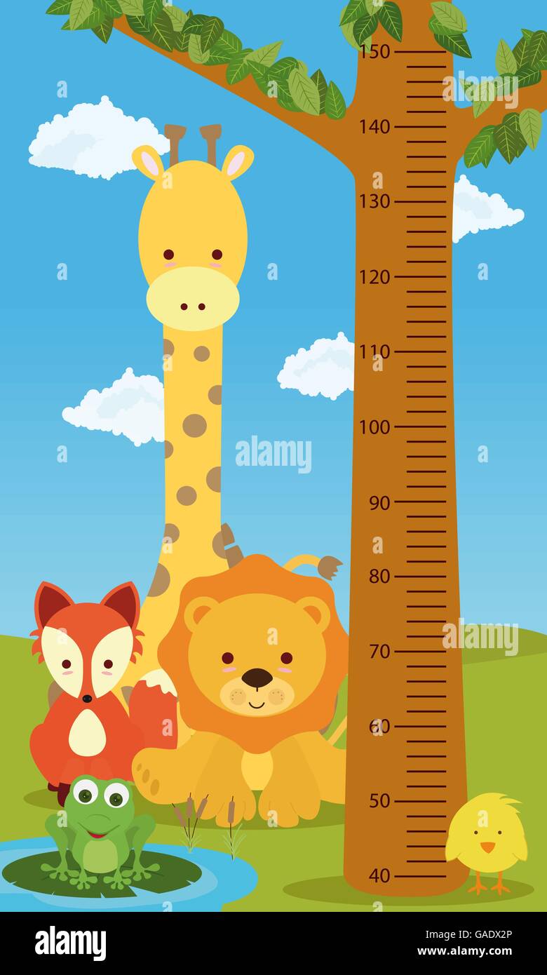 Height chart animals Stock Vector Image & Art - Alamy Height chart animals Stock Vector Image & Art - Alamy