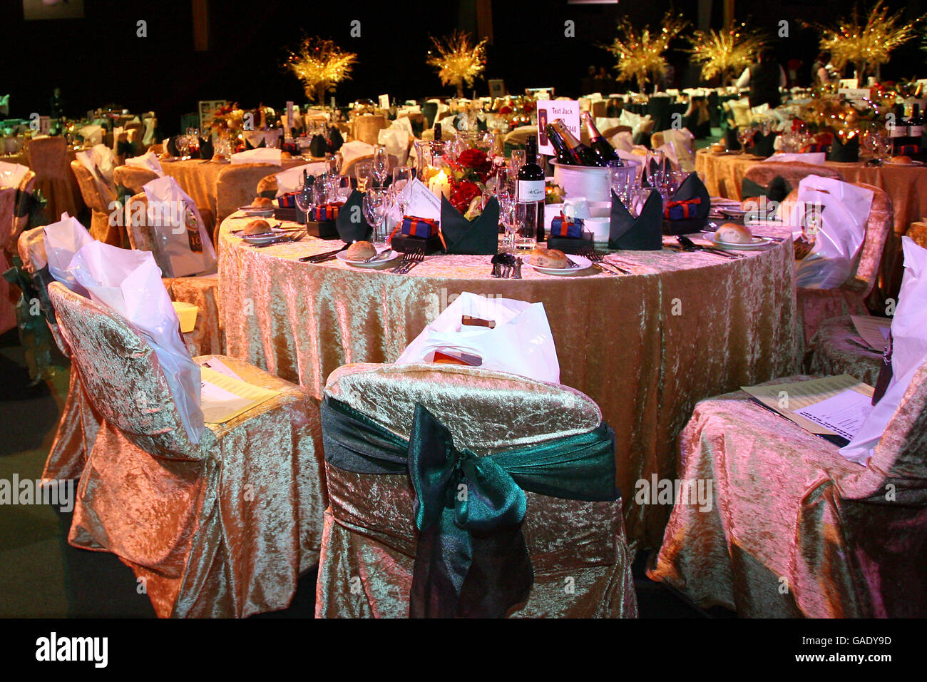 Soccer - PFA Gala Dinner - GMEX Centre. A general view of the PFA Gala ...