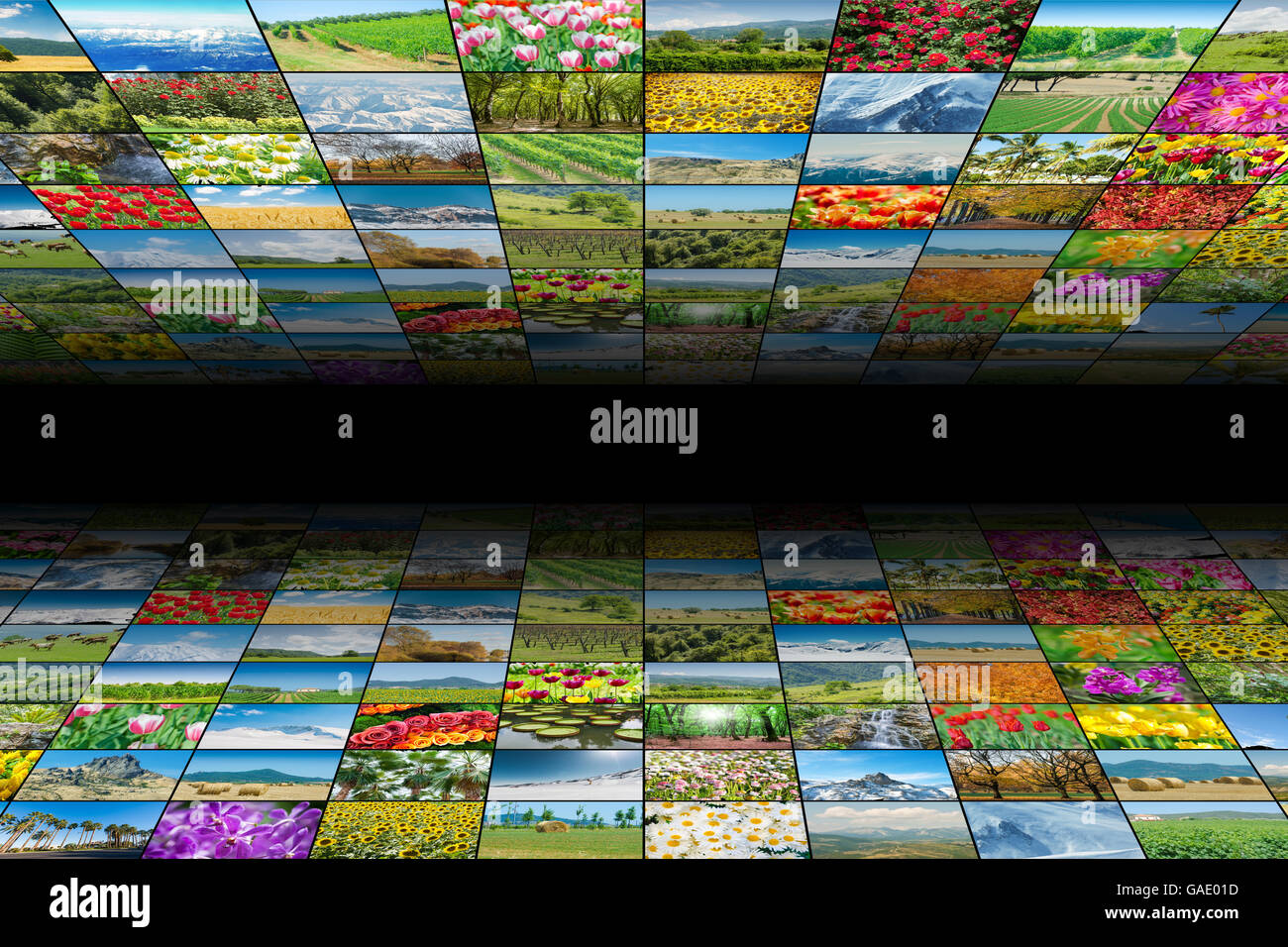 Collage of many nature photos Stock Photo - Alamy