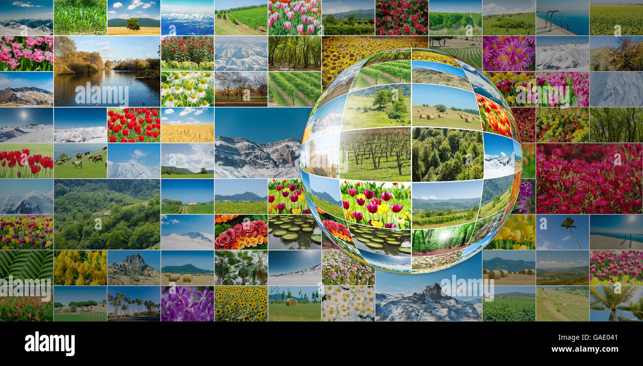 Collection of nature photos in collage concept Stock Photo - Alamy