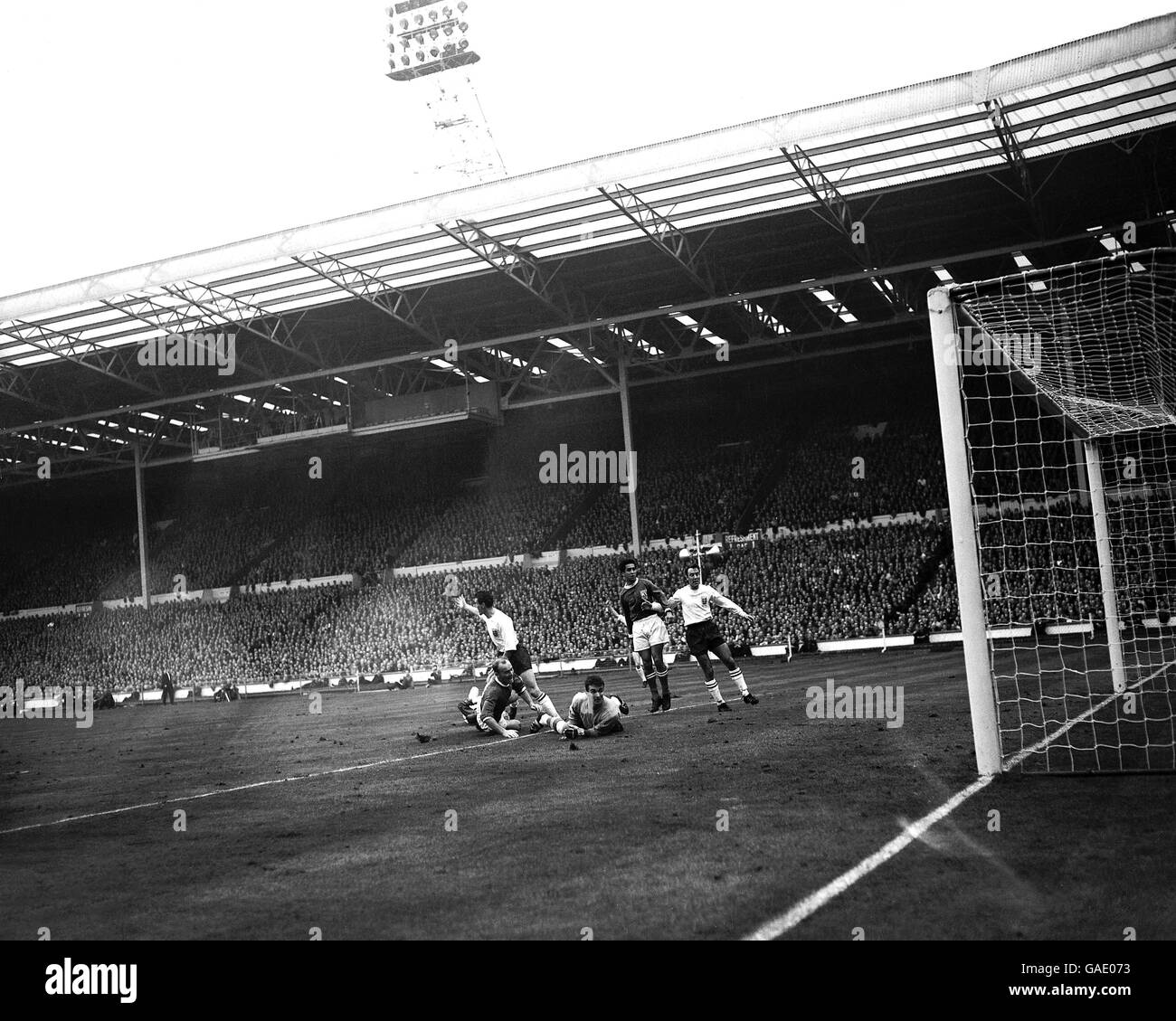 Celebrate 100th anniversary Black and White Stock Photos & Images - Alamy