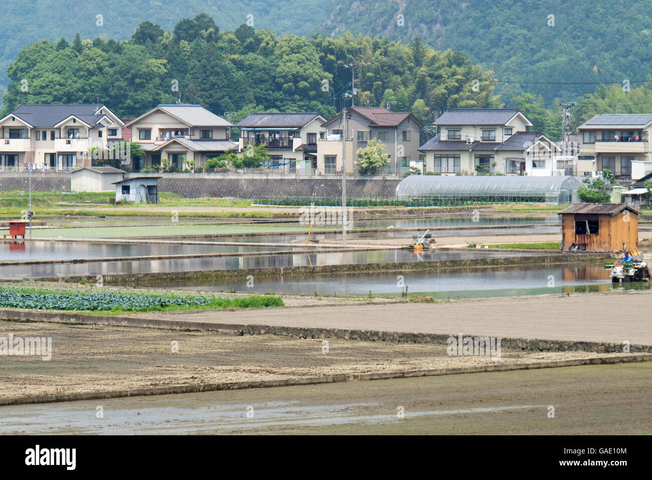 Japanese countryside house fields hi-res stock photography and images ...