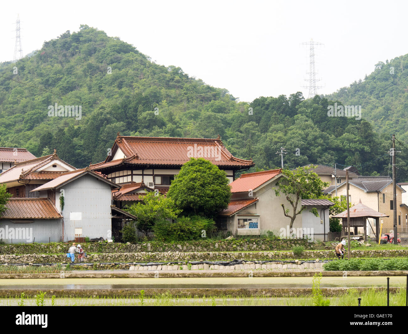 Rice field traditional japanese houses hi-res stock photography and ...