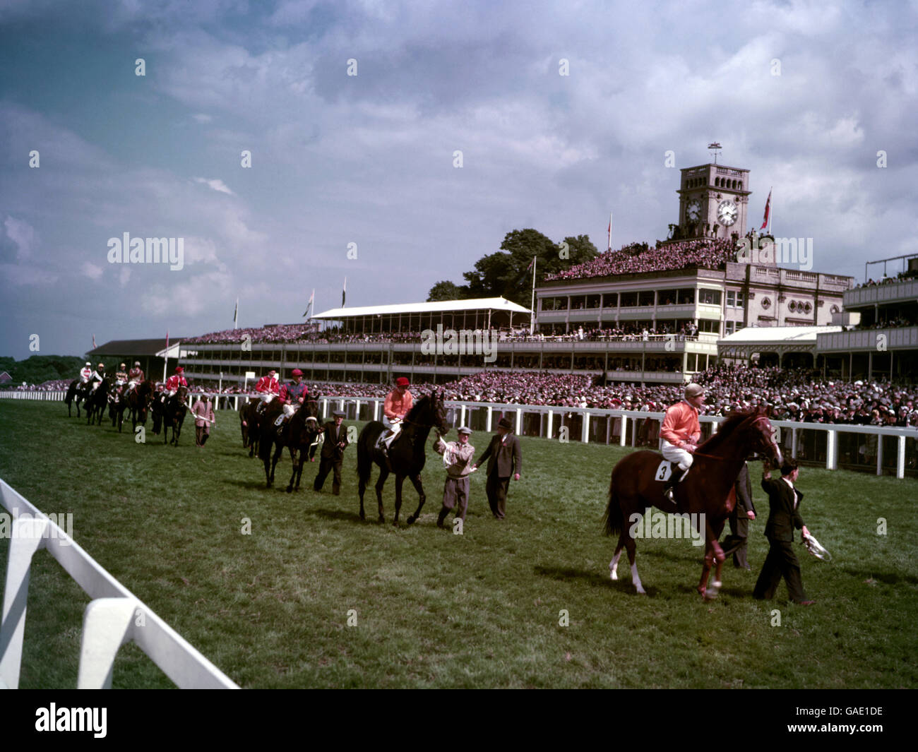 Horses parade for Gold Cup Race. (r-l) "Talma II", "Aram", "Souepi ...
