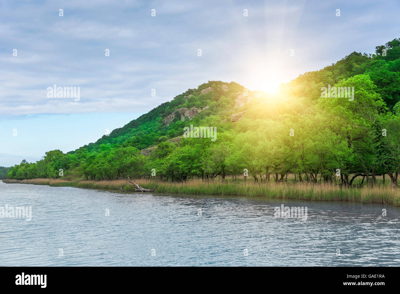 Ropotamo reserve hi-res stock photography and images - Alamy
