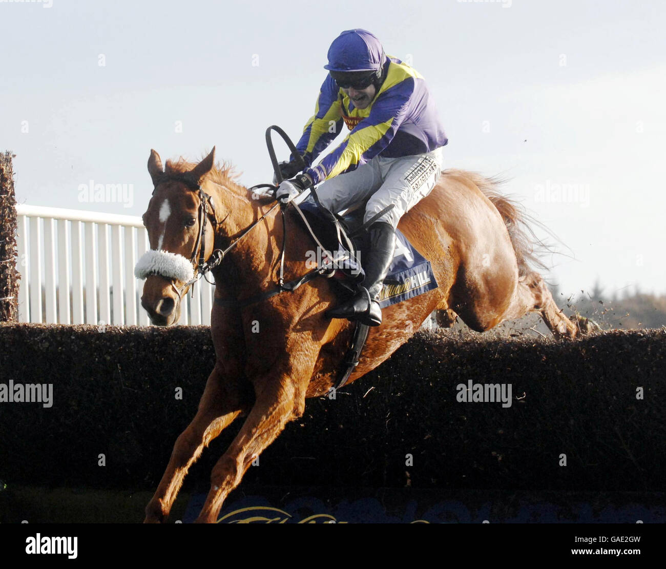 Pablo Du Charmil and jockey Tom Scudamore jump the last fence clear and ...