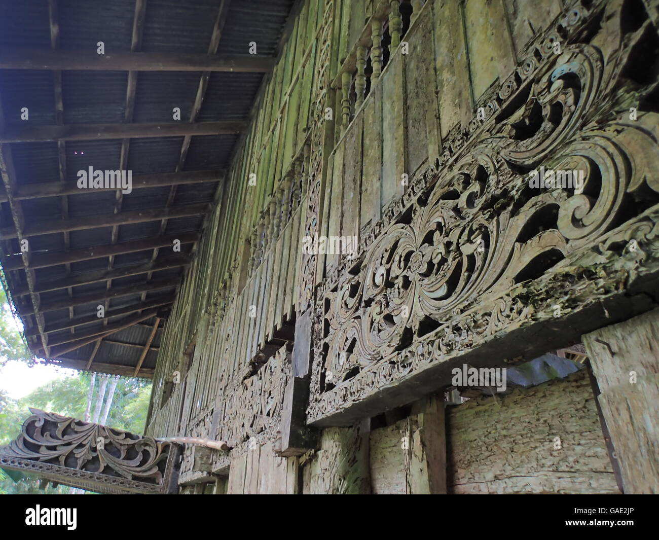 Torongan hi-res stock photography and images - Alamy