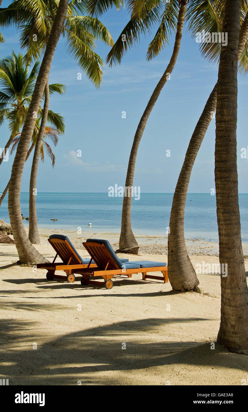 Two lounges on a quiet beach in the Florida Keys Stock Photo - Alamy