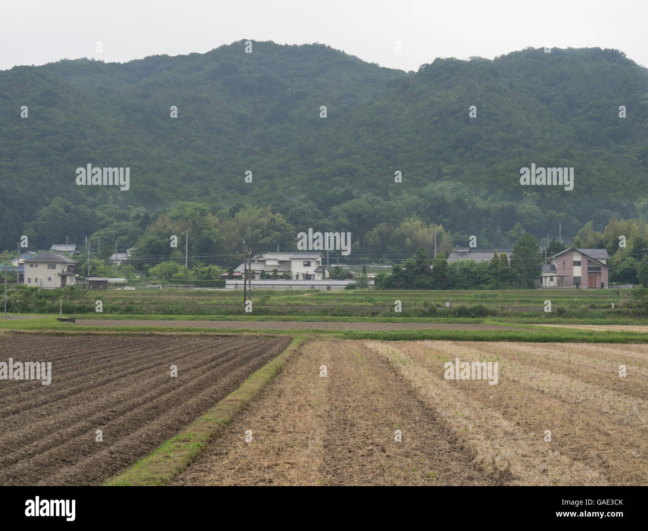 Asia farmland in foreground hi-res stock photography and images - Alamy