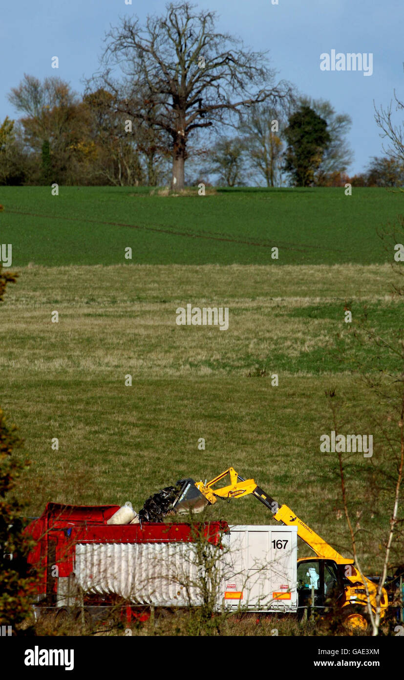 Dead Turkeys are loaded into a lorry at Redgrave Park Farm, Redgrave ...