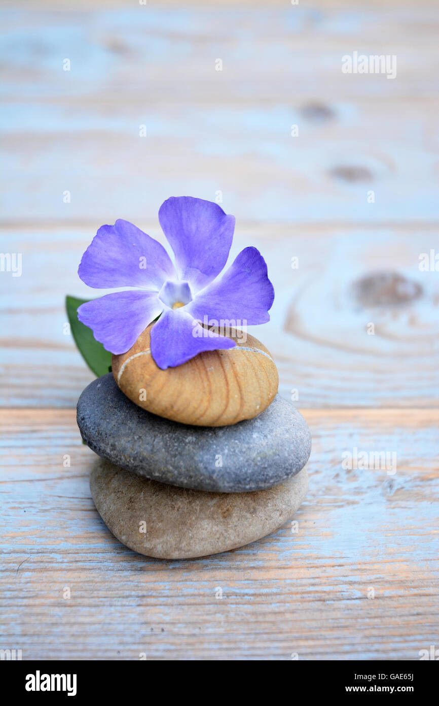 three zen cairn stones on a wooden background with a daisy and ...