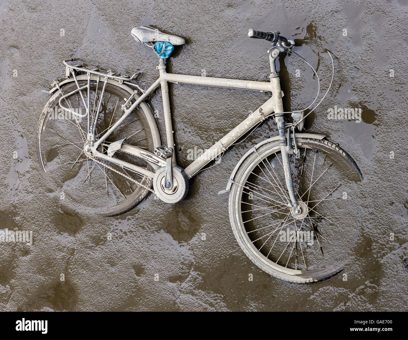 A bicycle fallen down from a bridge into the mud Stock Photo - Alamy
