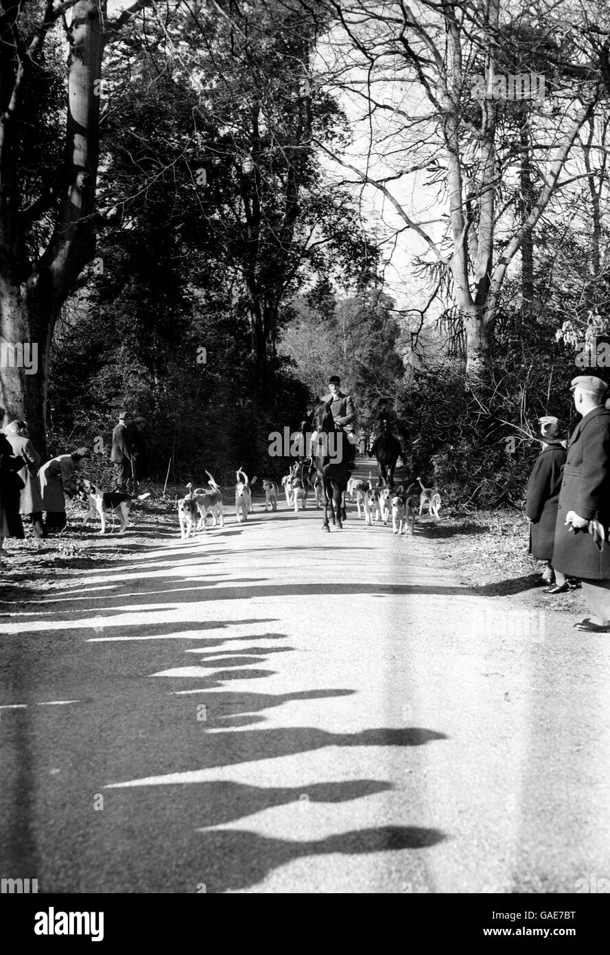 Fox tradition Black and White Stock Photos & Images - Alamy