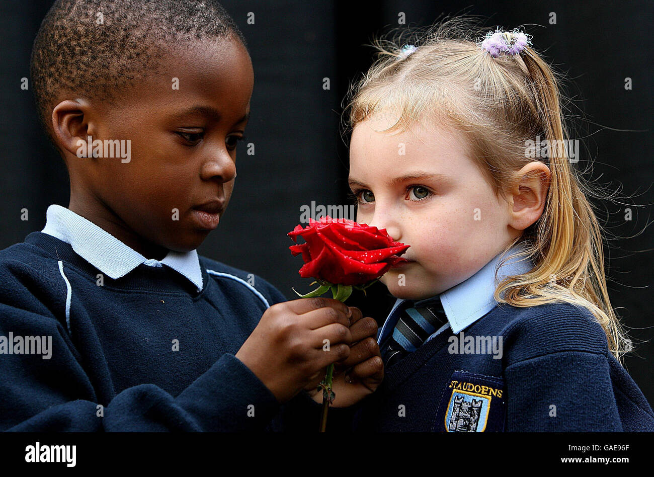 Rose kennedy hi-res stock photography and images - Alamy