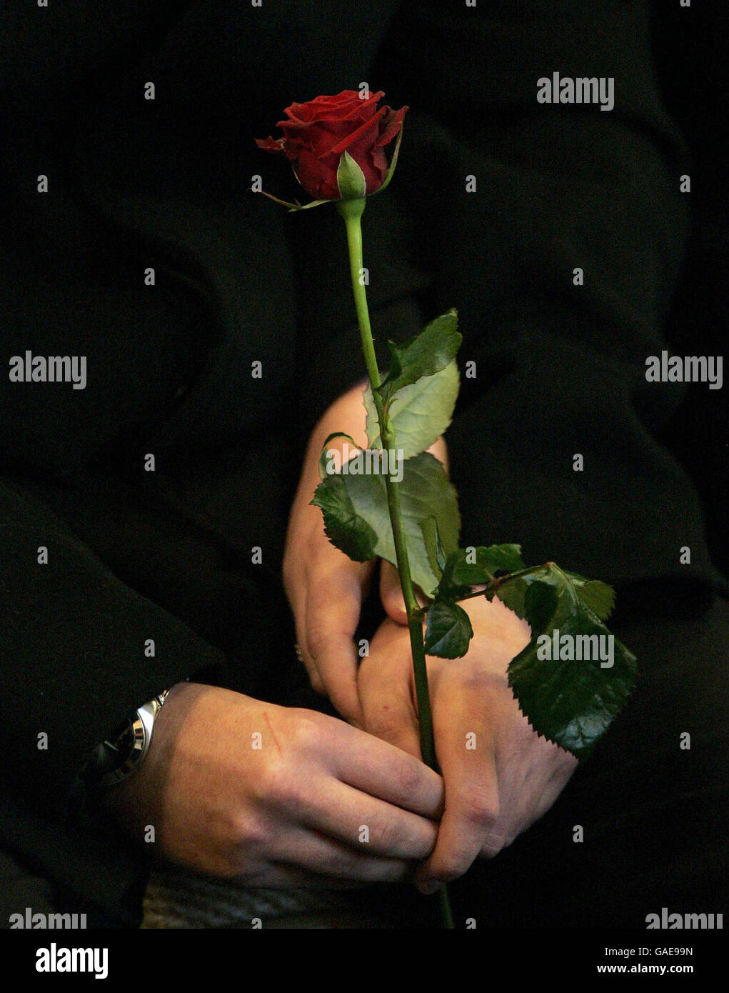 Hamilton's funeral hi-res stock photography and images - Alamy