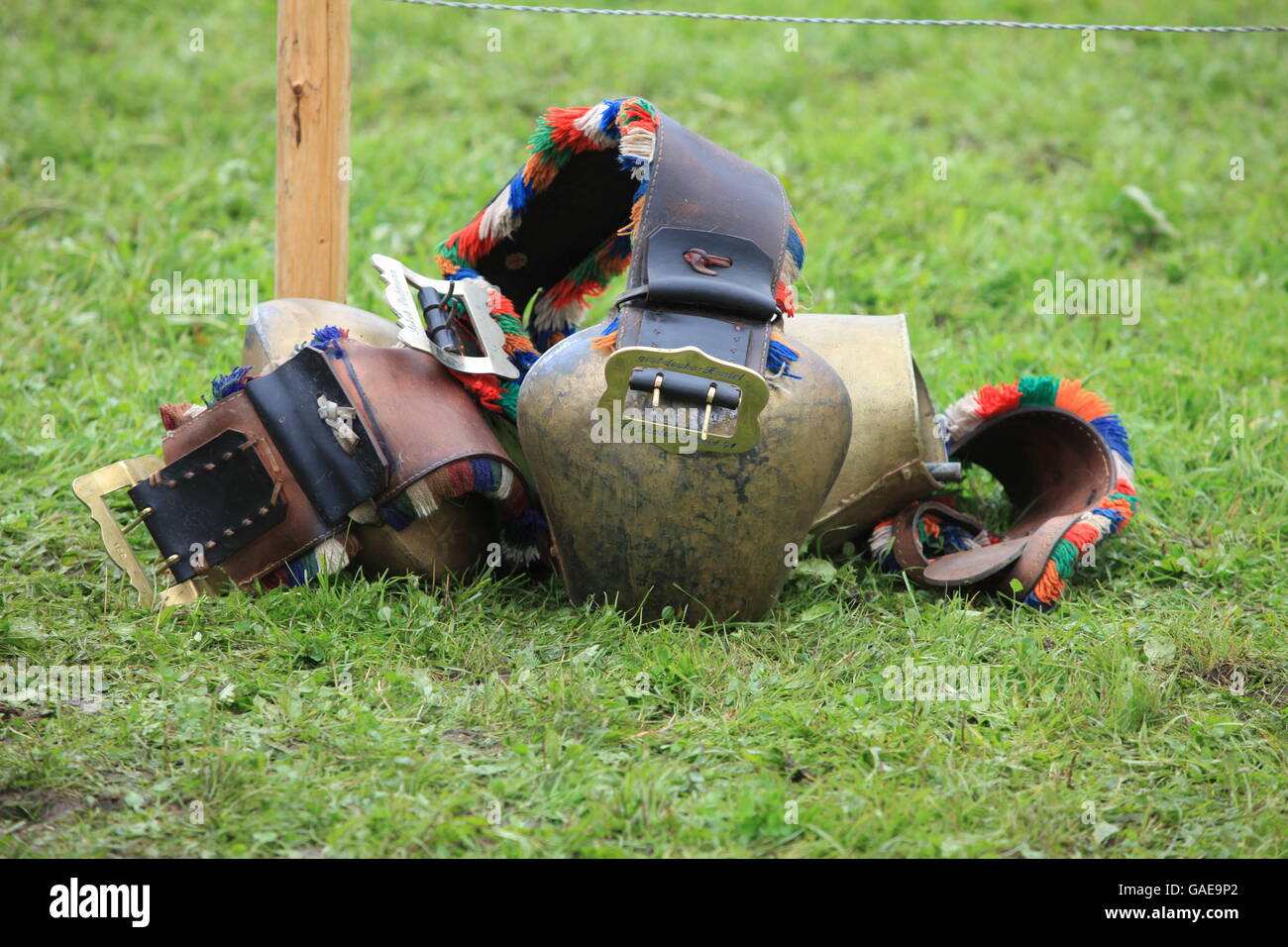 Cow bells hi-res stock photography and images - Alamy