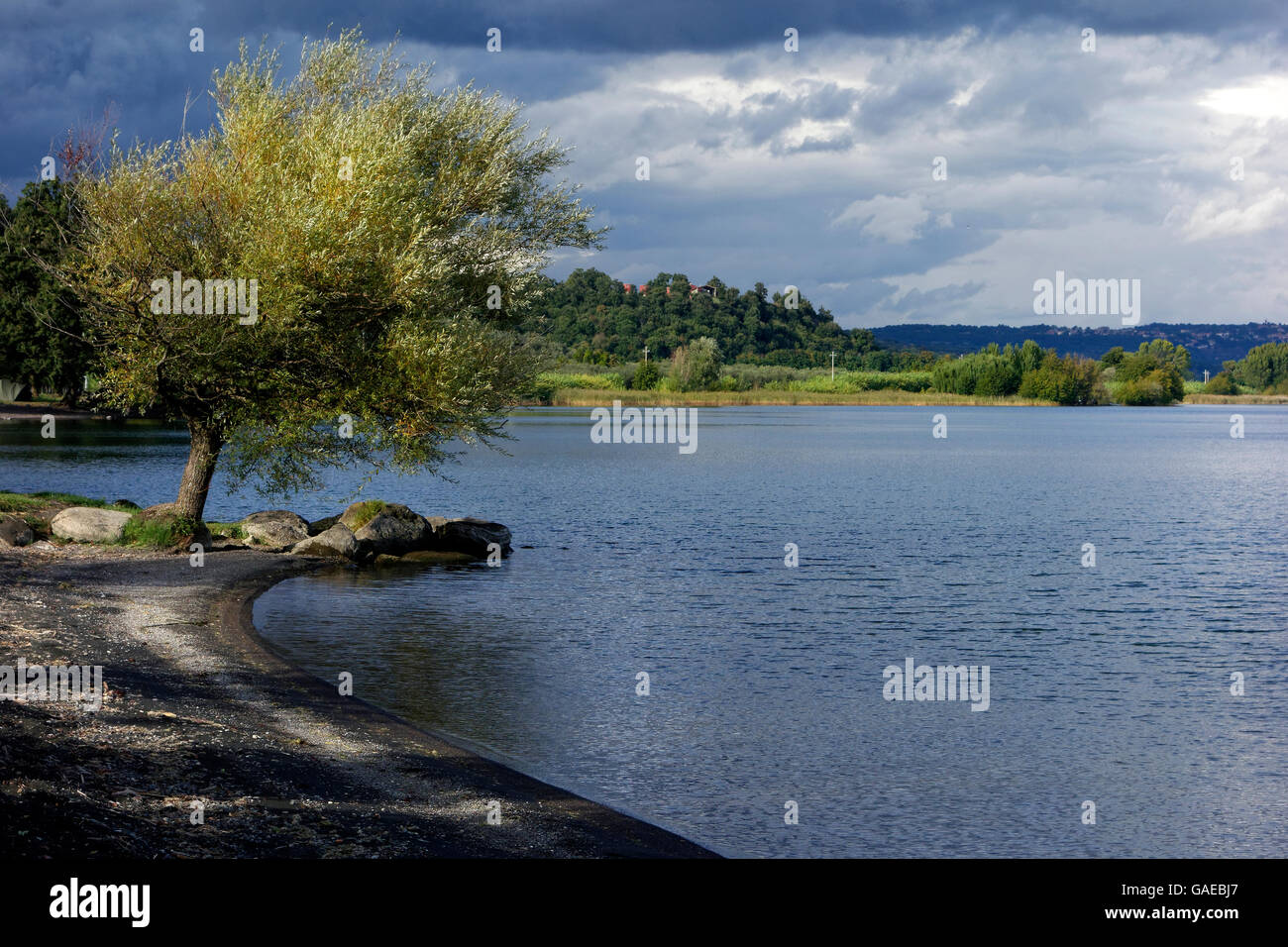 Sallo hi-res stock photography and images - Alamy