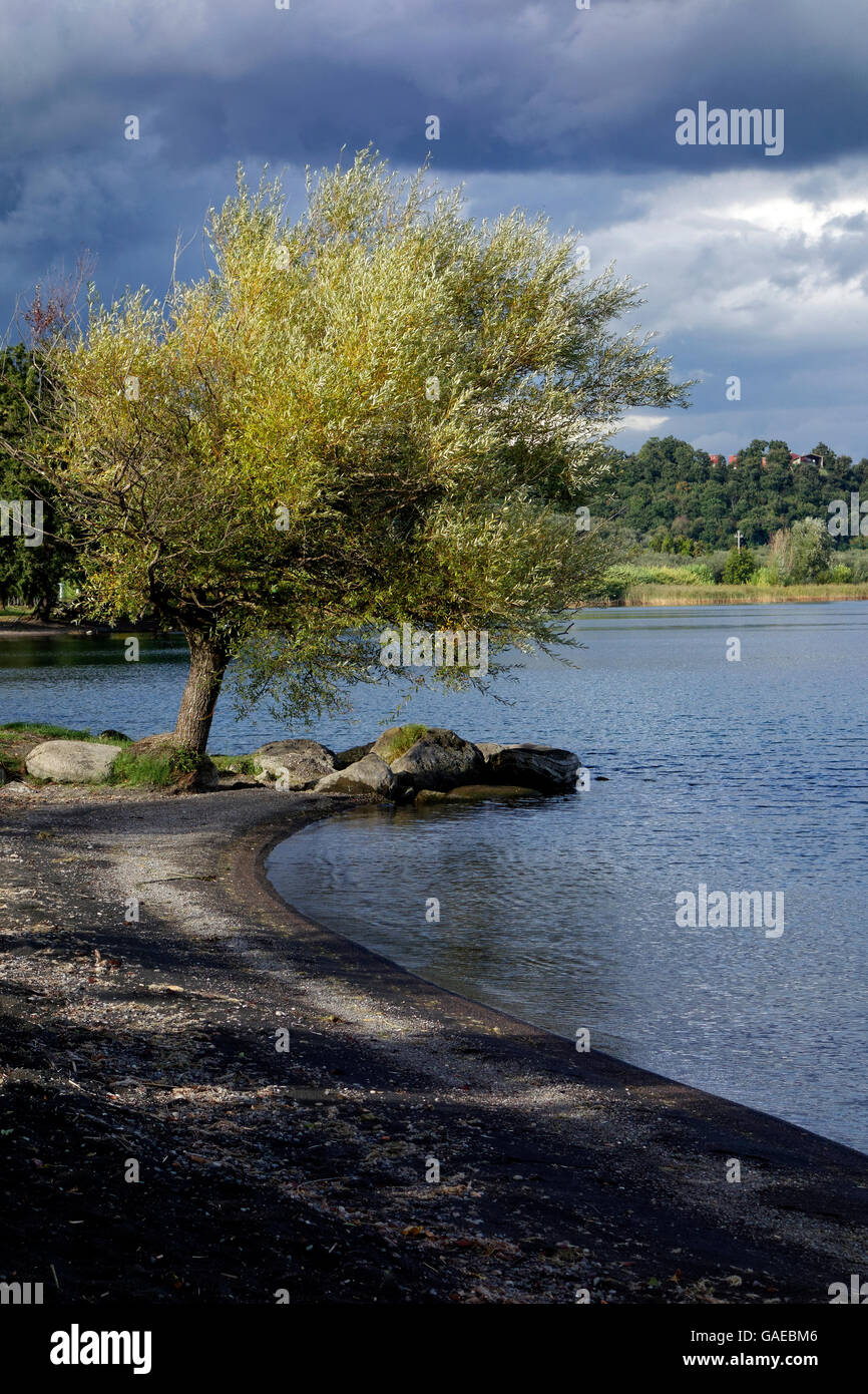 Sallo hi-res stock photography and images - Alamy