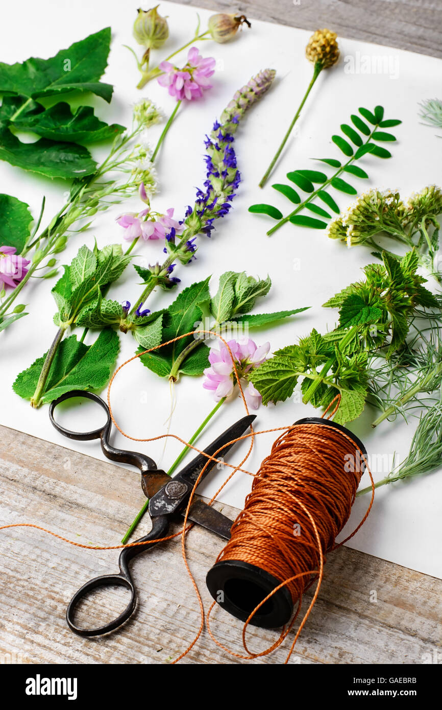 Flowers laid out hi-res stock photography and images - Alamy