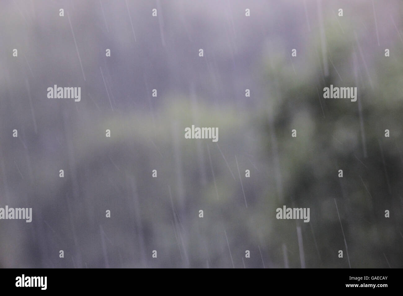 Drops of rain on black abstract background Stock Photo - Alamy