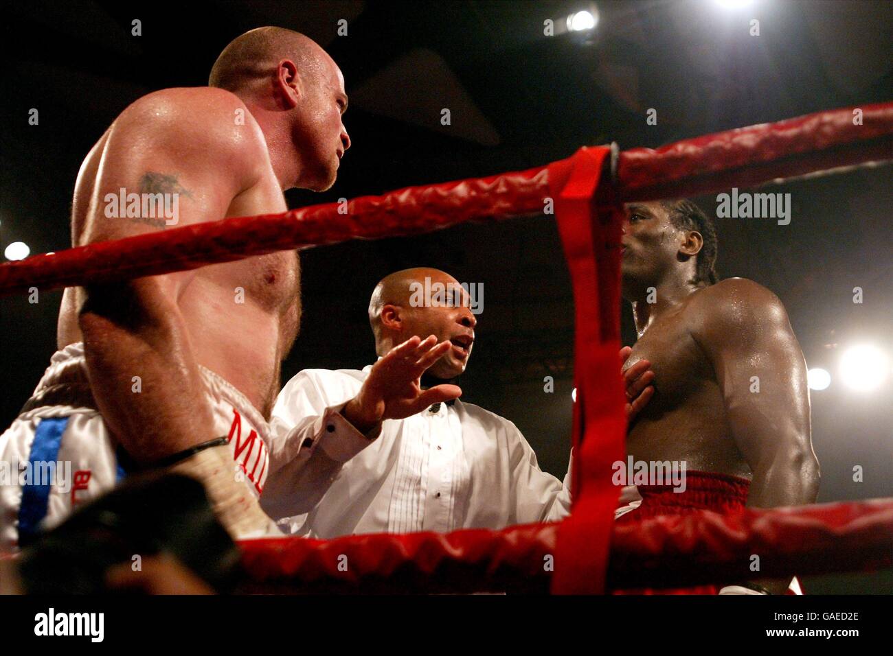 Boxing - Heavyweight Bout - Audley Harrison v Dominic Negus Stock Photo ...