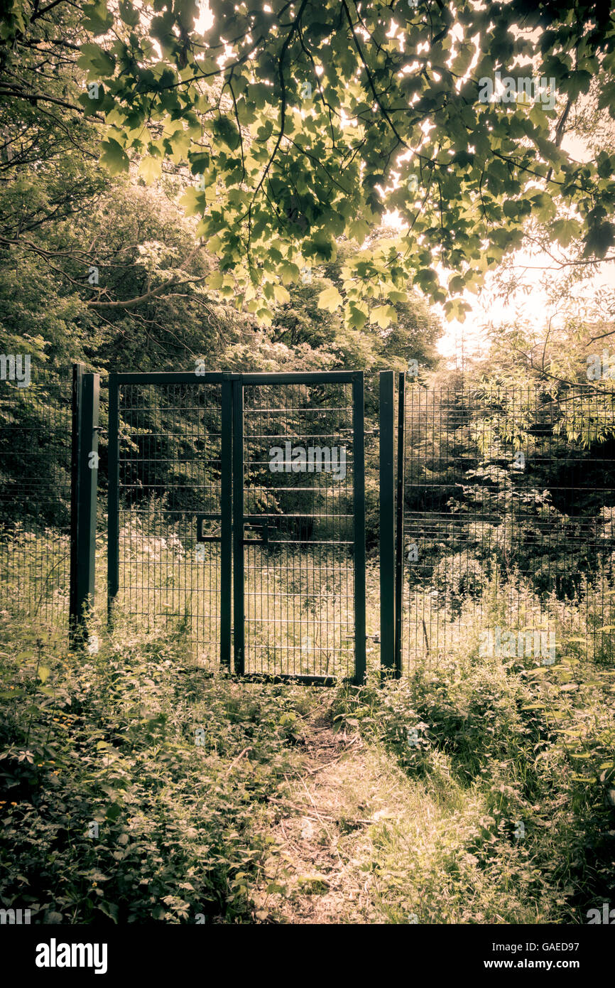A modern metal fence and steel gate in the woods Stock Photo - Alamy
