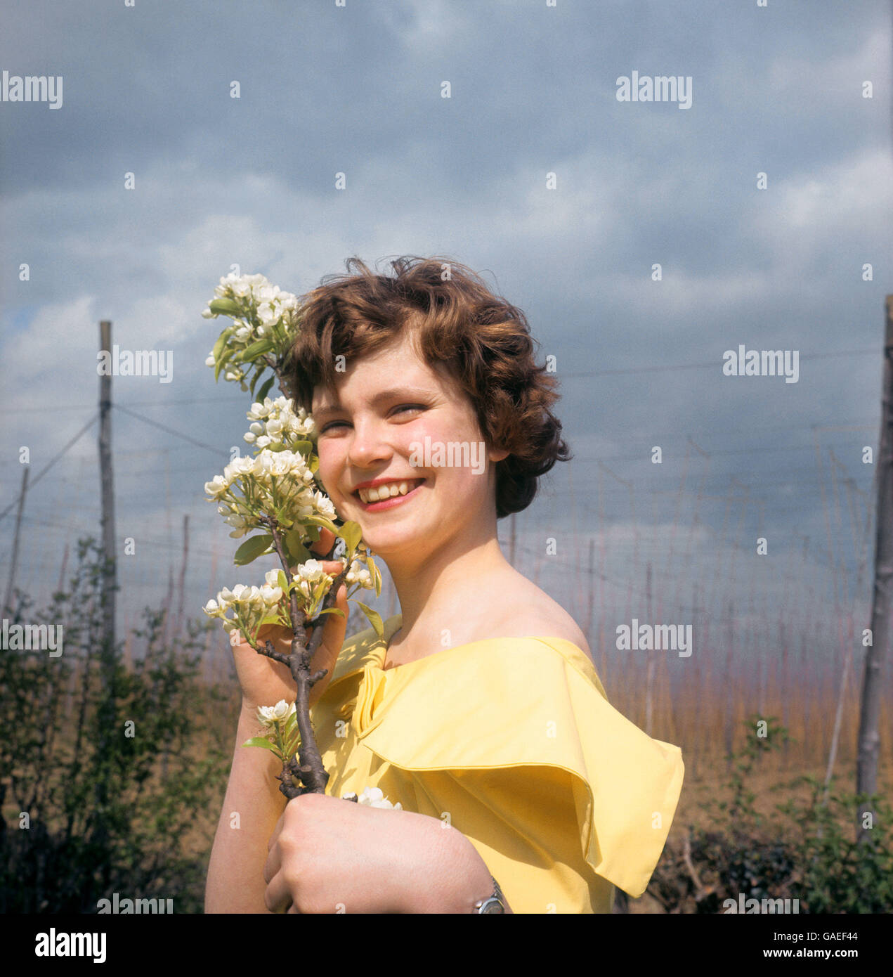 Pat Yates. Pat Yates Stock Photo - Alamy