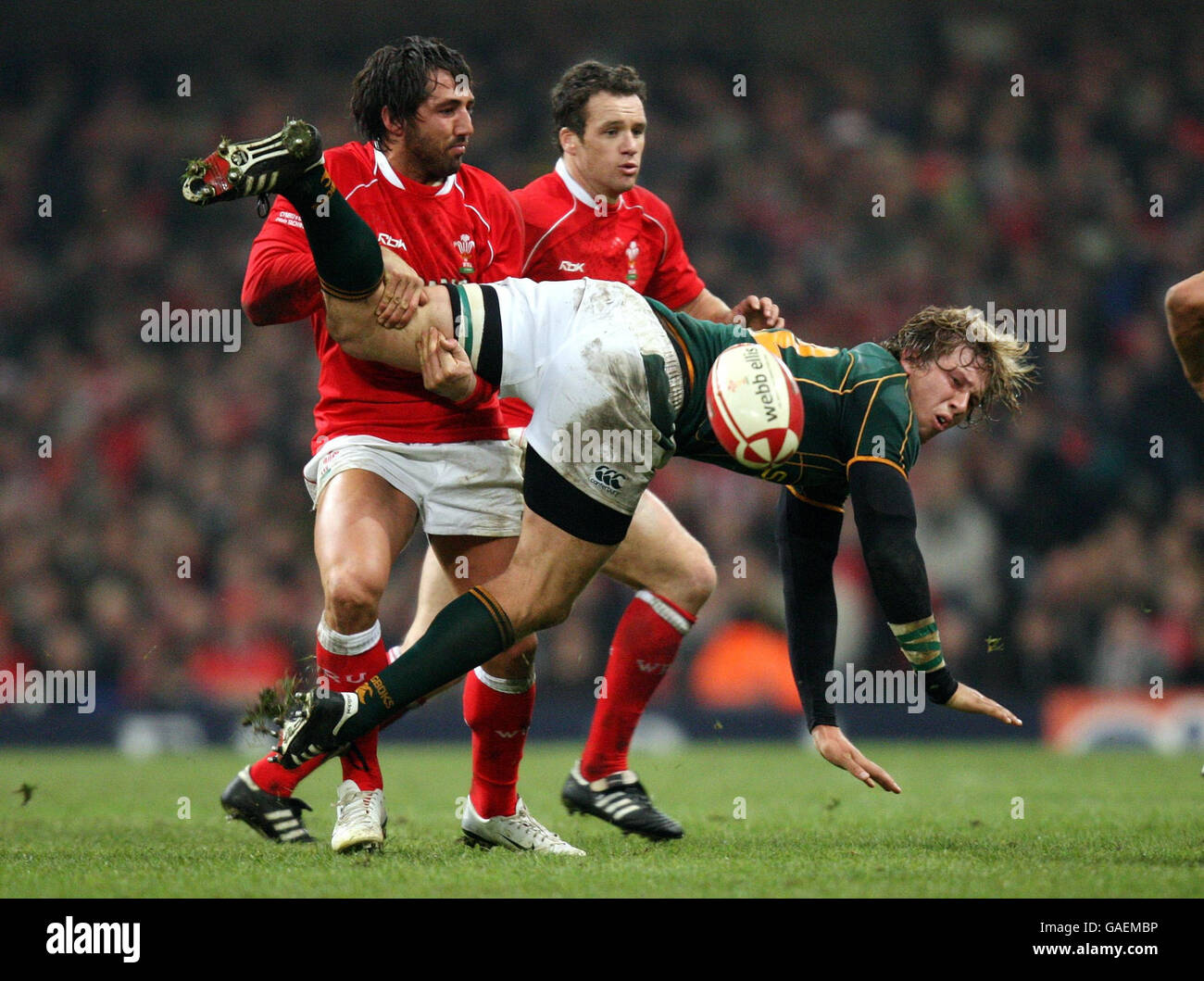 Rugby Union - Prince William Cup - Wales v South Africa - Millennium ...