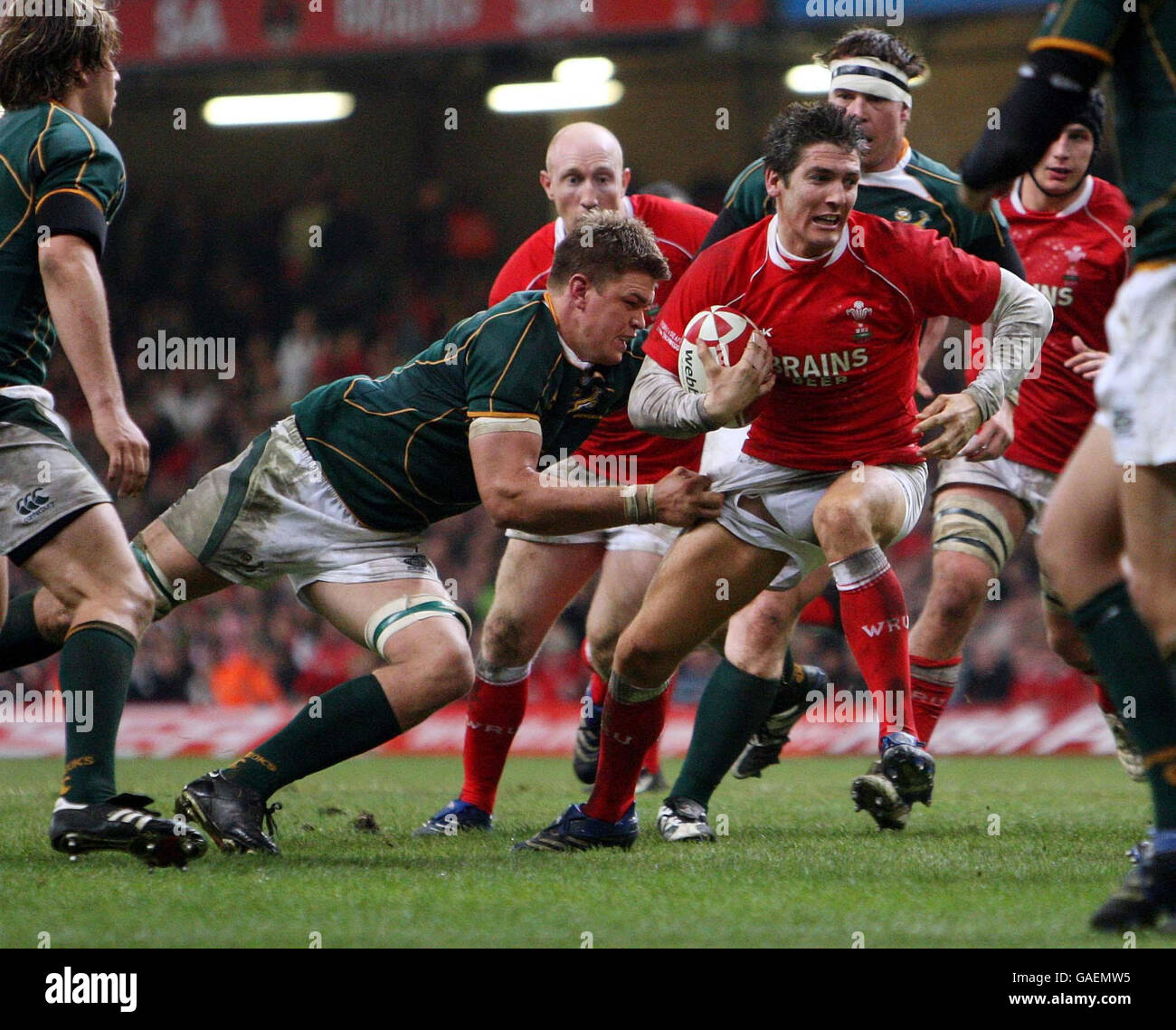 South africas rugby player hi-res stock photography and images - Alamy