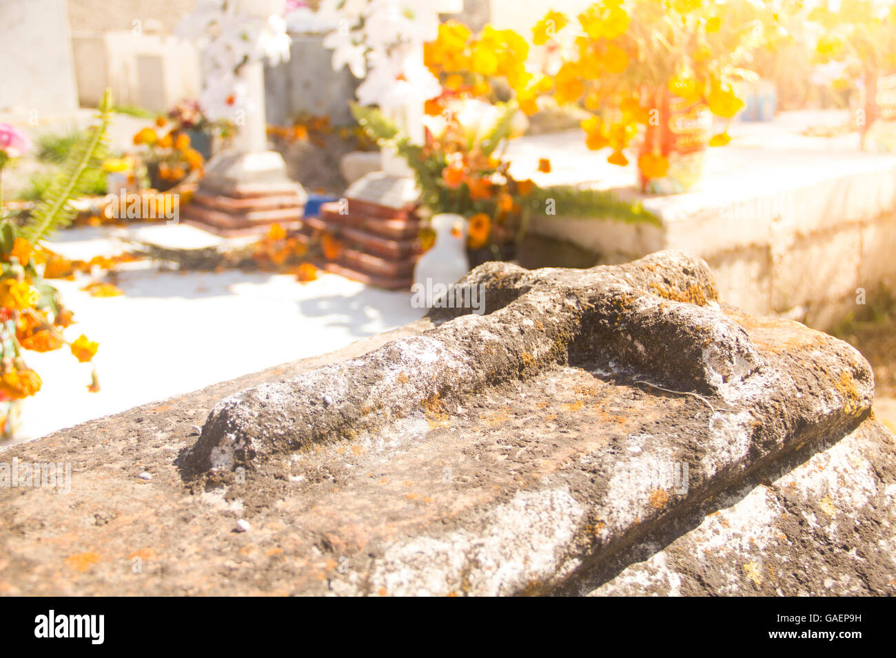 Celebration of the dead mexico cemetery hi-res stock photography and ...