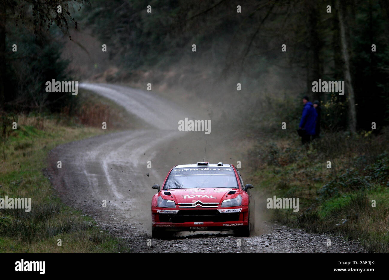 Sebastien Loeb of France in the Citroen C4 WRC on the Brechfa Special ...