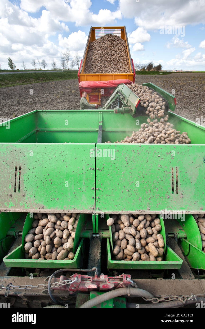 Trailer transports hi-res stock photography and images - Alamy