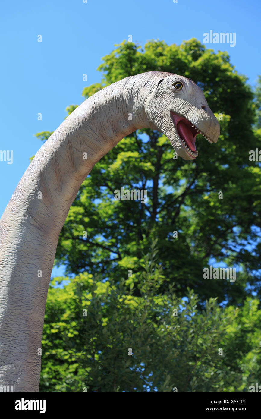 Diplodocus fossil hi-res stock photography and images - Alamy