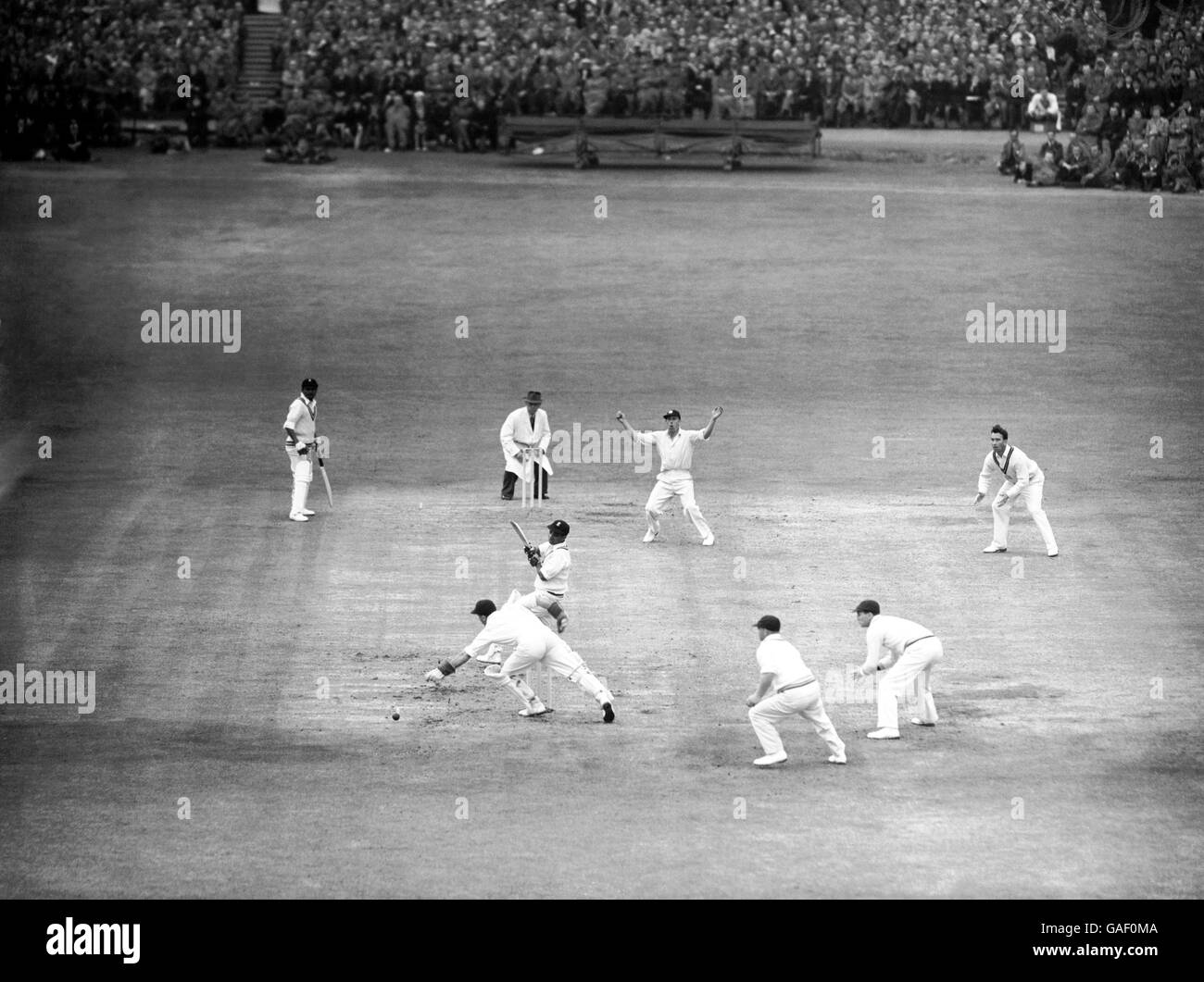 Roly Jenkins High Resolution Stock Photography and Images - Alamy