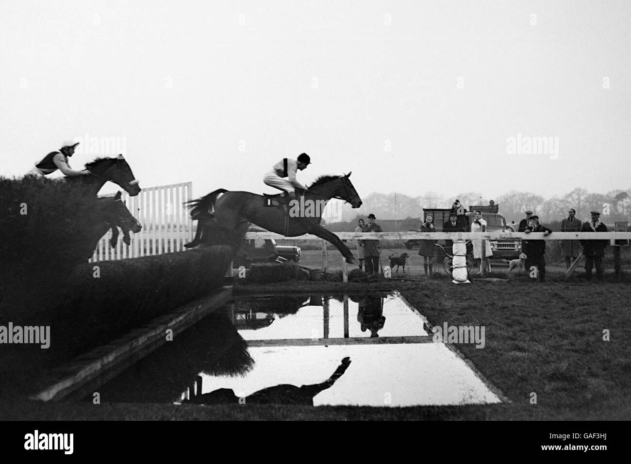 SGB Handicap Steeplechase Chase - At the water-jump, Anne, Duchess of ...