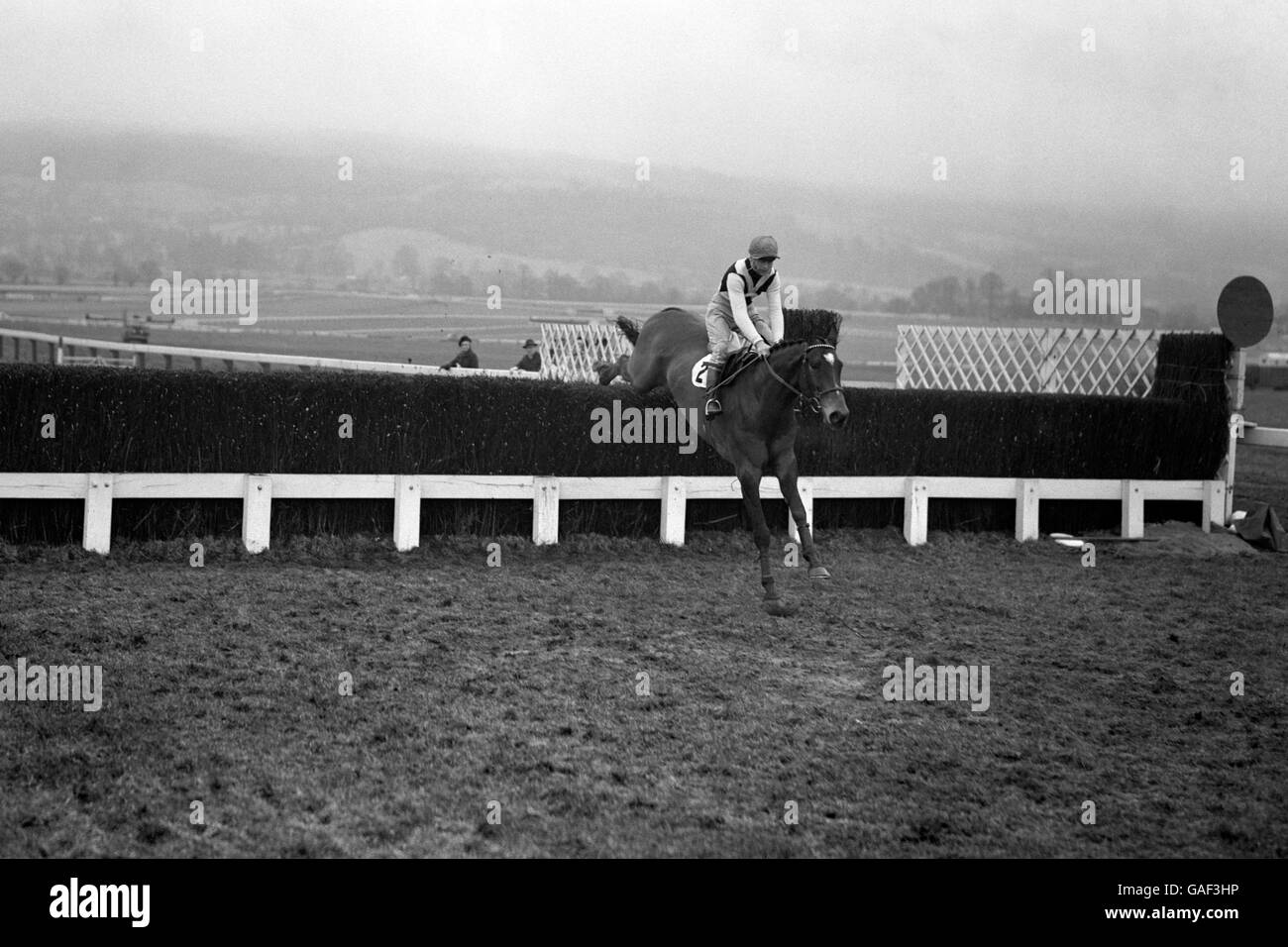 Sport racing cheltenham hi-res stock photography and images - Alamy