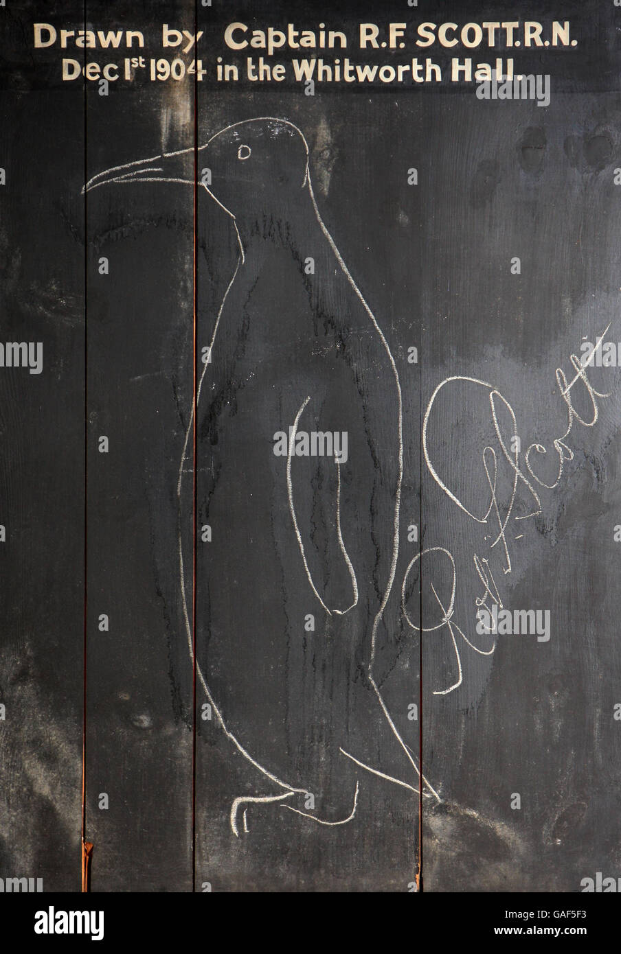 A chalk drawing of a penguin, sketched and signed by the legendary ...