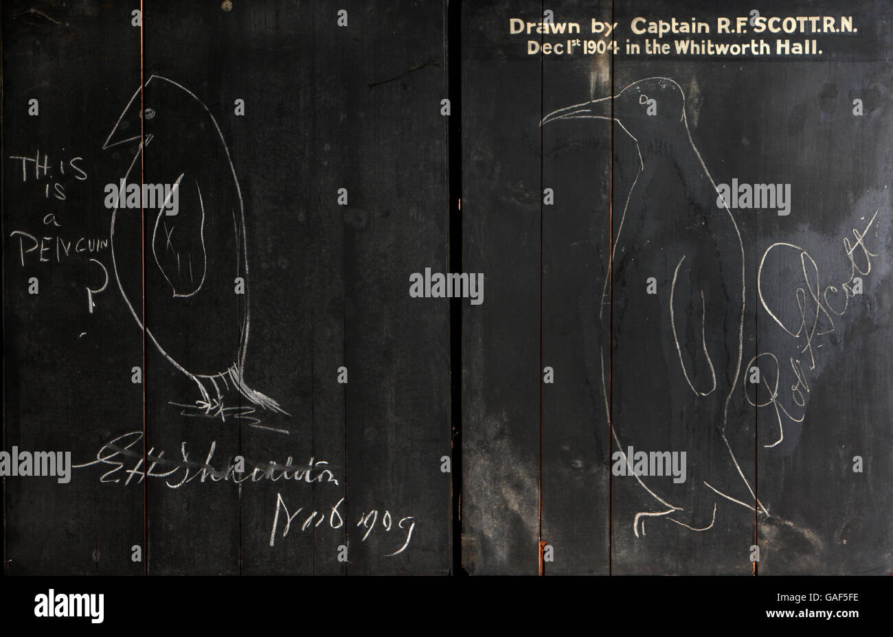 Two chalk drawings of penguins, sketched and signed by the legendary ...