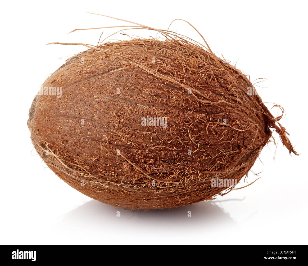Close up of a coconut isolated on white background Stock Photo - Alamy