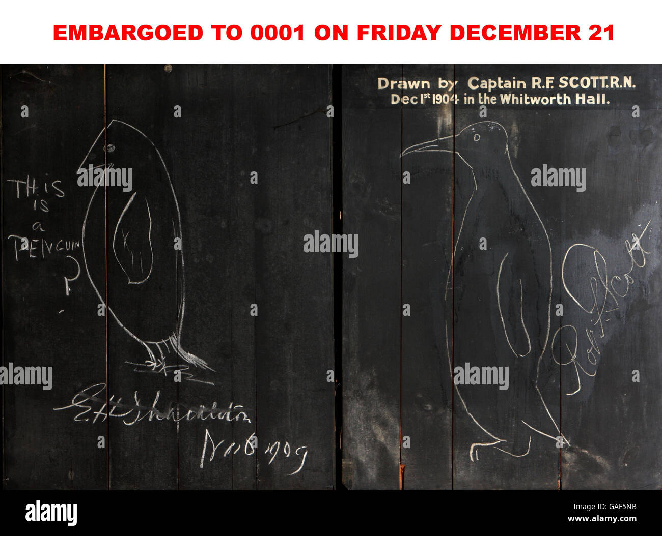 Two chalk drawings of penguins, sketched and signed by the legendary ...